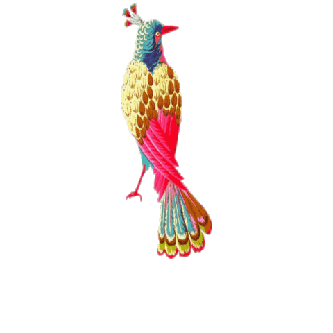 animals GIFs on GIPHY - Be Animated