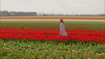 "Bachelorette" GIF Recap by Entertainment GIFs | GIPHY