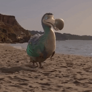 Excited Outrage GIF by Dodo Australia - Find & Share on GIPHY