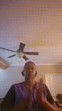 Cat Swinging From Ceiling Fan Gif | Shelly Lighting