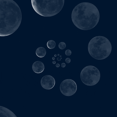 Moon Landing GIF by Feliks Tomasz Konczakowski - Find & Share on GIPHY