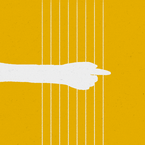 Cello-strings GIFs - Get the best GIF on GIPHY