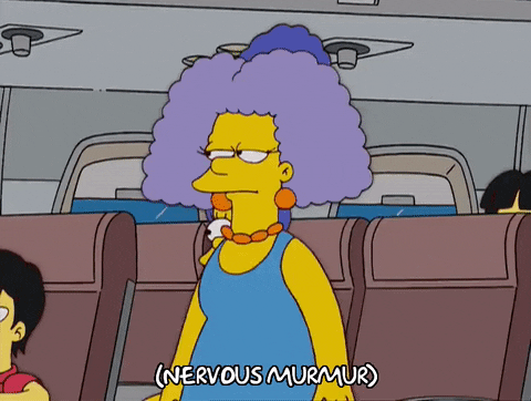 Simpsons On Plane GIFs - Get the best GIF on GIPHY