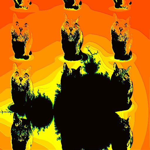 Hypno Cats GIFs - Get the best GIF on GIPHY