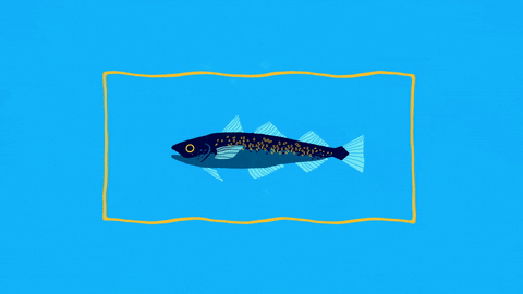 Animation Design GIF by Dennis Moore - Find & Share on GIPHY