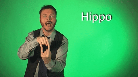 Sign Language For Hippo
