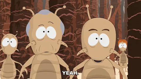 Scared Lice GIF by South Park - Find & Share on GIPHY