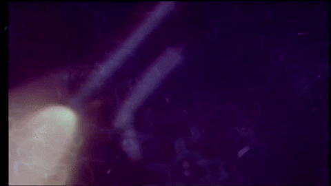 Inertial-propulsion GIFs - Get the best GIF on GIPHY