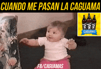 Gif Borracho