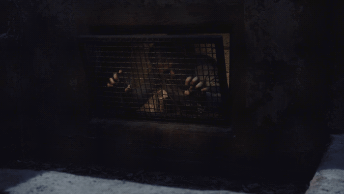 Michael Scofield Fox GIF by Prison Break - Find & Share on GIPHY