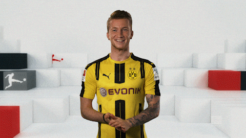 Borussia Dortmund GIFs - Get the best GIF on GIPHY