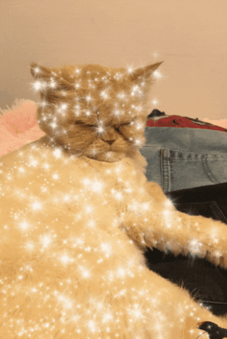 Cat Glitter GIF by Jess - Find & Share on GIPHY