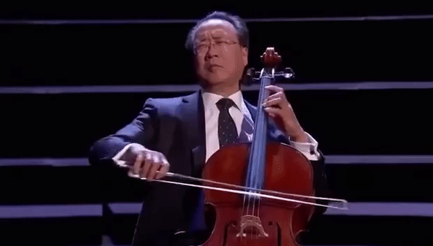 Incredibly intimidated by the cello... it’s too sexy : r/Cello
