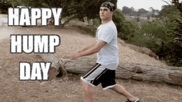 10 GIFs to Help You Celebrate Hump Day! GIFs on GIPHY - Be Animated