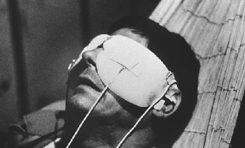 Criterion-collecton GIFs - Get the best GIF on GIPHY