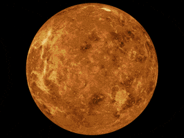 Venus GIF by The Telegraph - Find & Share on GIPHY