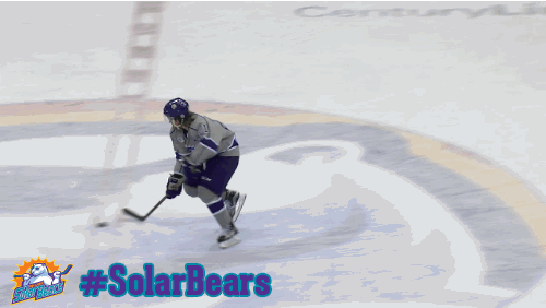 Orlando Solar Bears GIF - Find & Share on GIPHY