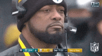 Mike Tomlin Animated Gif