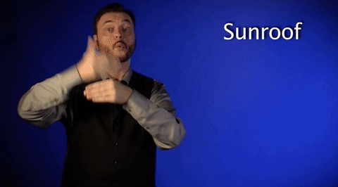 Sign Language Sunroof GIF by Sign with Robert - Find & Share on GIPHY
