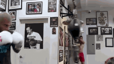 Boxing Rocnationsports GIF by Miguel Cotto - Find & Share on GIPHY