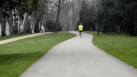 Winner Running GIF by Stad Genk - Find & Share on GIPHY