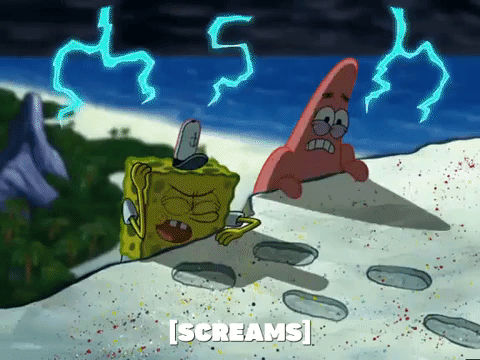 Season 6 GIF by SpongeBob SquarePants - Find & Share on GIPHY