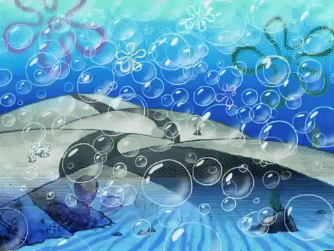 Season 5 GIF by SpongeBob SquarePants - Find & Share on GIPHY