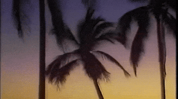 Buenos Aires Province GIFs - Find & Share on GIPHY