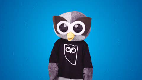 Owly GIFs - Get the best GIF on GIPHY
