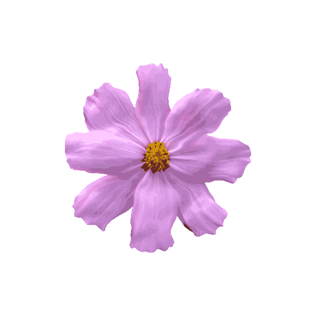 Pink Flower Sticker by Douglas Schatz for iOS & Android | GIPHY