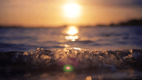 Art Water GIF by Living Stills - Find & Share on GIPHY
