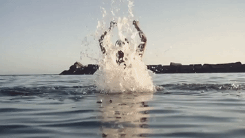 Water Dive GIF by Best Youth - Find & Share on GIPHY