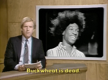 Buckwheat-is-dead GIFs - Get the best GIF on GIPHY