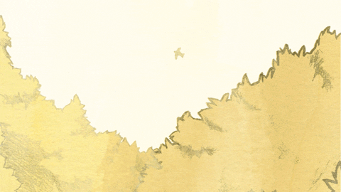 Honey Colony GIFs - Get the best GIF on GIPHY