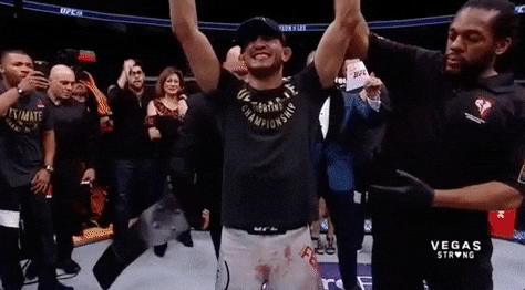 Ufc 216 GIFs - Get the best GIF on GIPHY
