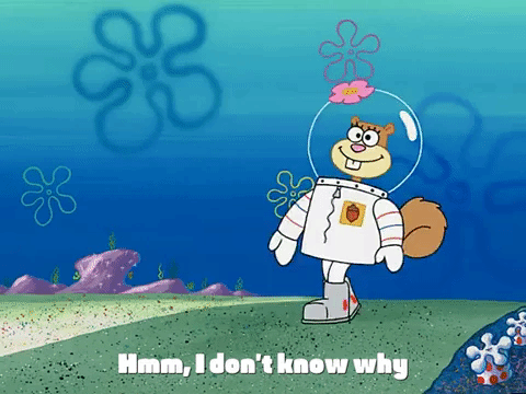 Season 3 The Great Snail Race GIF by SpongeBob SquarePants - Find ...