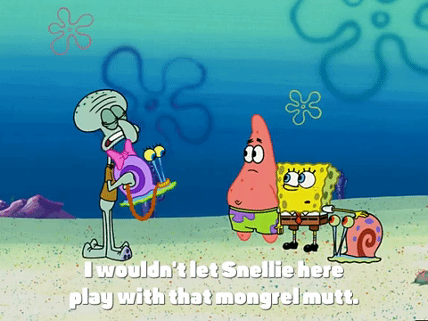 Season 3 The Great Snail Race GIF by SpongeBob SquarePants - Find ...
