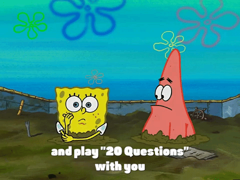 Season 3 Missing Identity GIF by SpongeBob SquarePants - Find & Share ...