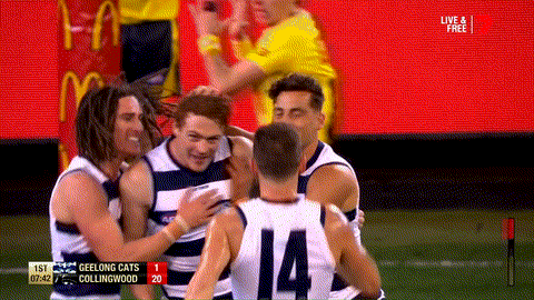 Afl Finals Celebrations GIF by AFL - Find & Share on GIPHY