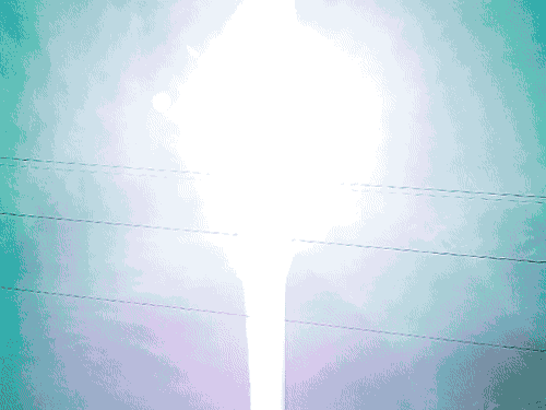 Telephone Wires GIFs - Get the best GIF on GIPHY