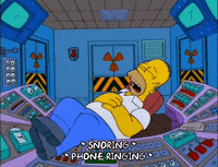 Homer Simpson Sleeping At Work