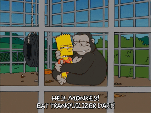 Monkeys Eating GIFs - Get the best GIF on GIPHY