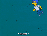 Running Into A Wall Gif