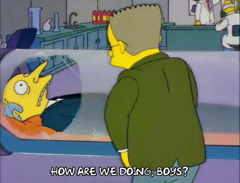 Professor Fink Memes