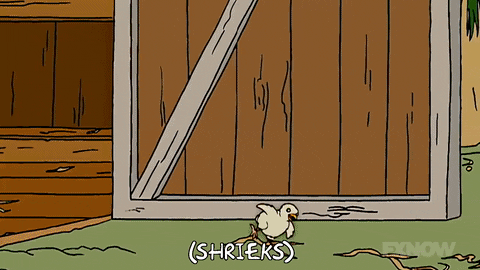 Eagle Catching Bird GIFs - Get the best GIF on GIPHY