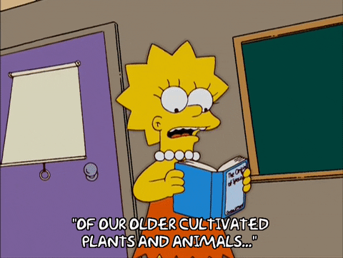 Busting In The Door GIFs - Get the best GIF on GIPHY