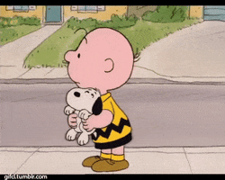 Charlie Brown Meme GIFs - Find & Share on GIPHY