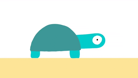 Turtle GIF by Lucas Zanotto - Find & Share on GIPHY