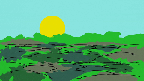 Sun Forest GIF by South Park - Find & Share on GIPHY
