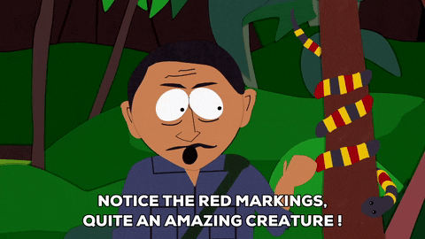Amazing Creature GIFs - Get the best GIF on GIPHY